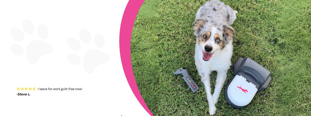 Lure Course Kits – SwiftPaws