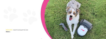 *BACKORDER* CHASE! Kit – SwiftPaws