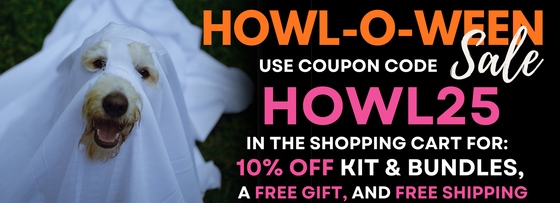 CHASE! Kit – SwiftPaws