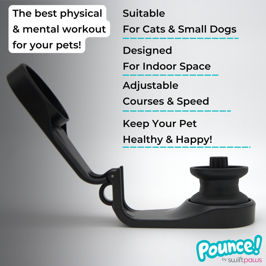 Pounce! Kit – SwiftPaws