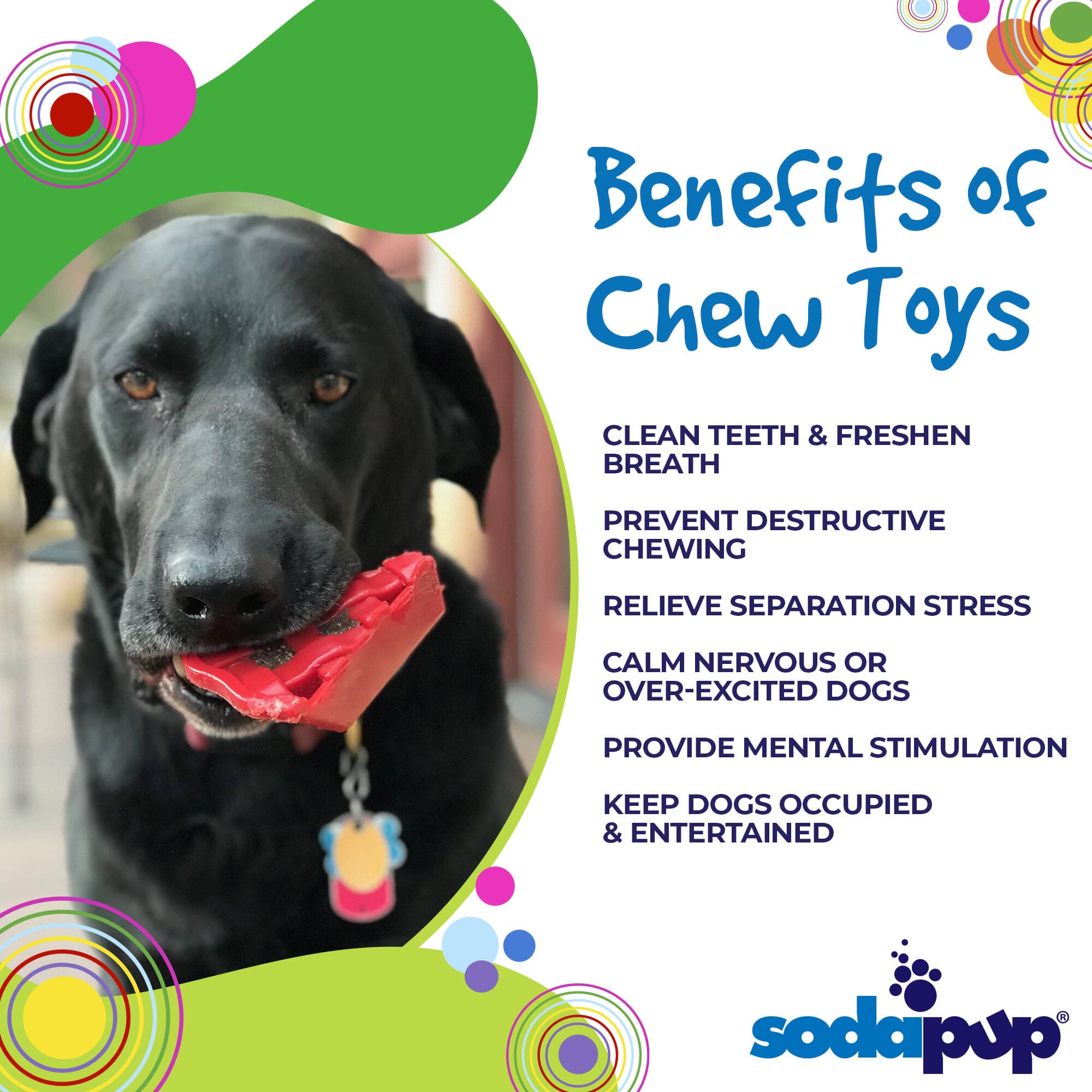 Cherry Pie Ultra Durable Nylon Dog Chew Toy and Treat Holder – SwiftPaws