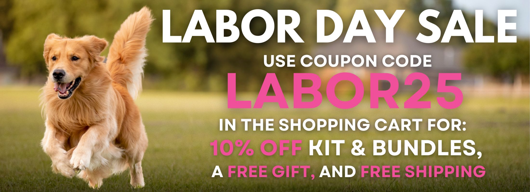 CHASE! Kit – SwiftPaws