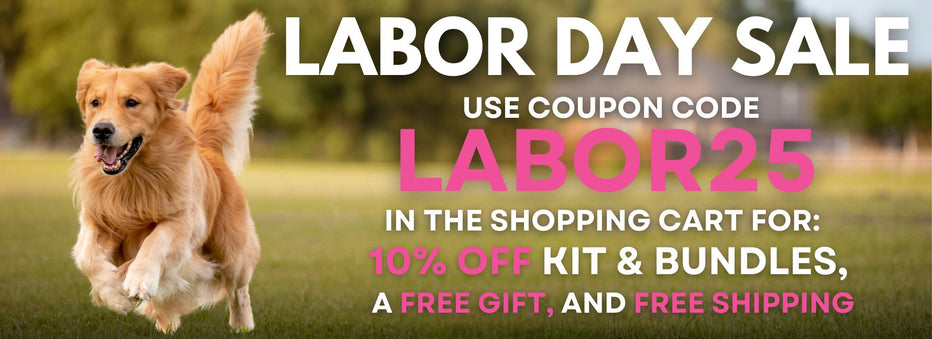 CHASE! Kit – SwiftPaws