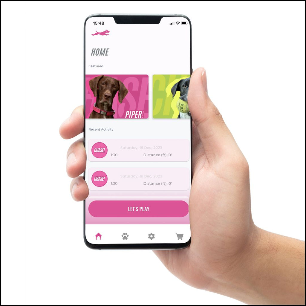 Chase Kit – SwiftPaws