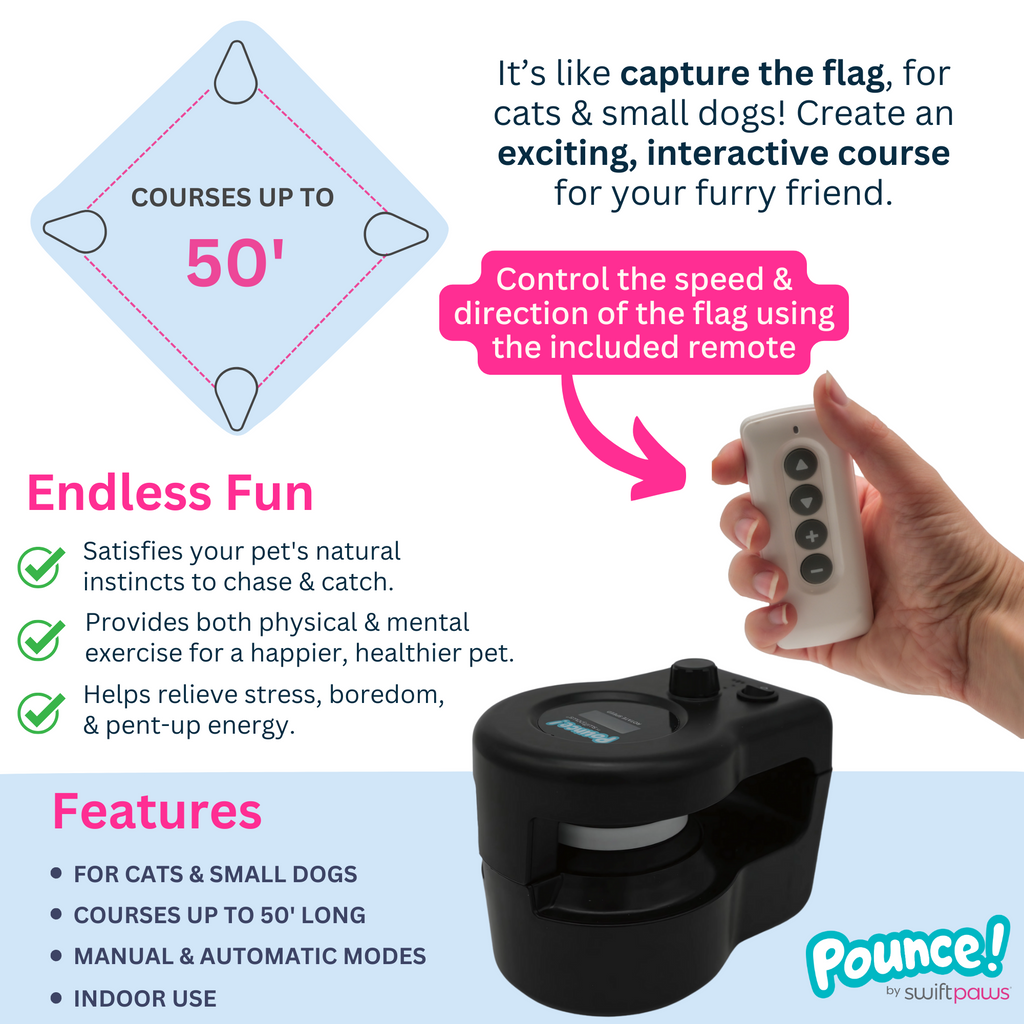 Pounce! Kit – SwiftPaws