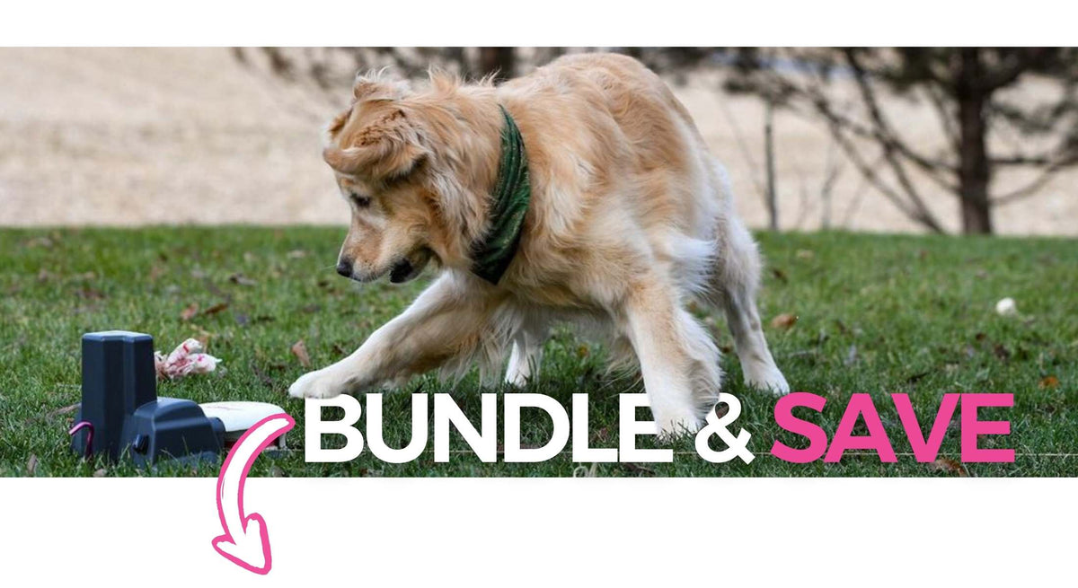 Lure Course Kits – SwiftPaws