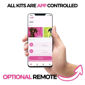 CHASE! Kit – SwiftPaws