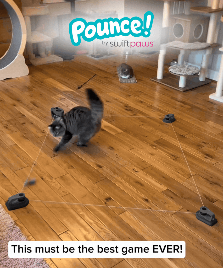 Pounce! Kit – SwiftPaws