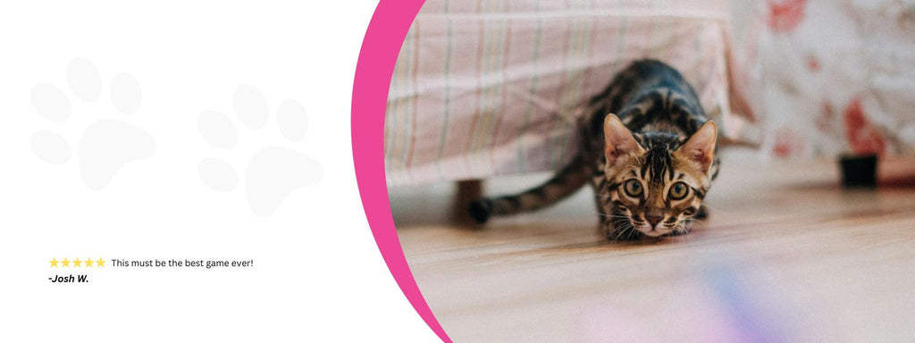 Pounce! Kit – SwiftPaws