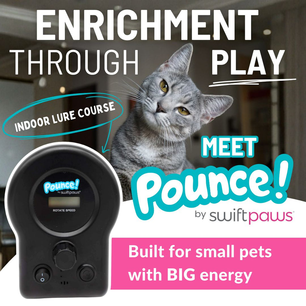 Pounce! Kit – SwiftPaws