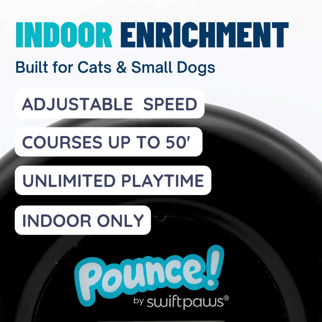 Pounce! Kit – SwiftPaws