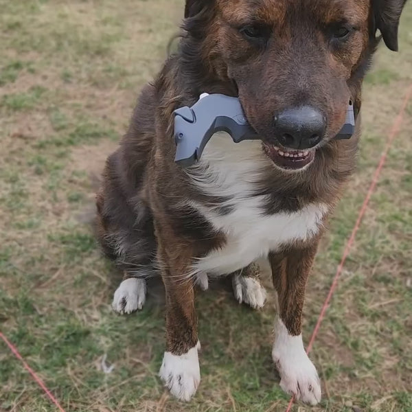 *BACKORDER* CHASE! Kit – SwiftPaws