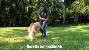 Flirt Pole – SwiftPaws